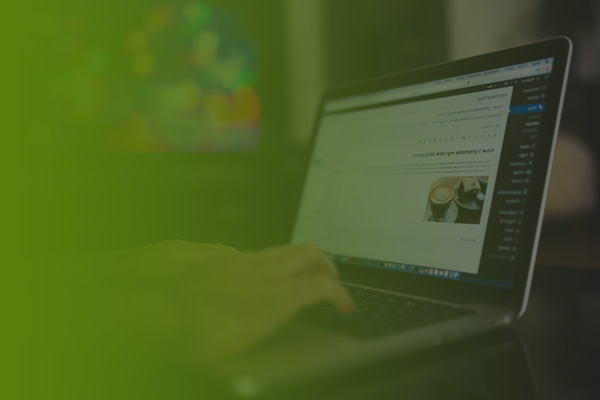 Kosten Nieuwe Website En Pakketten | Pixelsz Webdesign